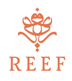 Reef 33 Reef Perfumes perfumy - to perfumy dla kobiet i mężczyzn 2020
