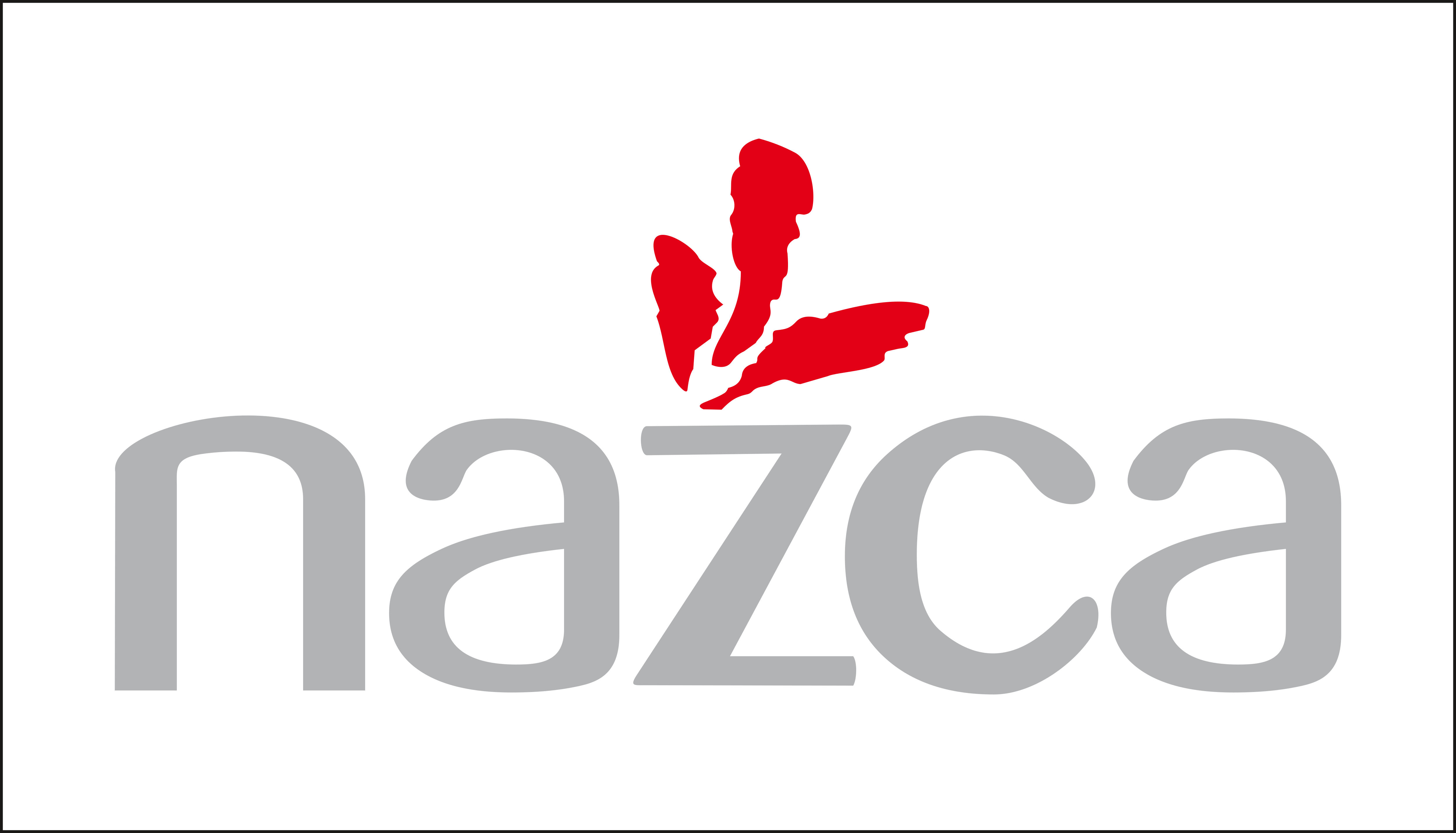 Logotipo De Nacsa