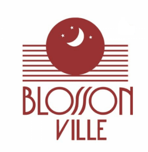 Blosson Ville Perfumes E Colônias