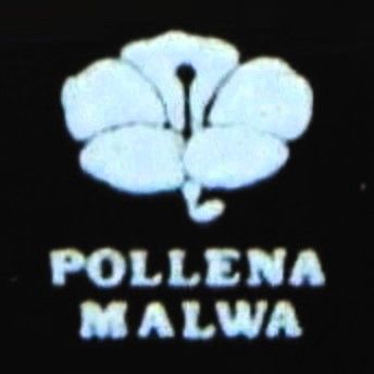Pollena Malwa Fragancias Y Colonias