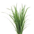 Notas verdes en la perfumería ~ Materias primas