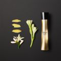 Armani Code Absolu Femme Giorgio Armani perfume - a fragrância Feminino ...