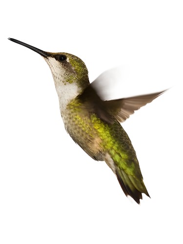 Quiddity Riot Chipie Parfum - ein es Parfum für Frauen 1998