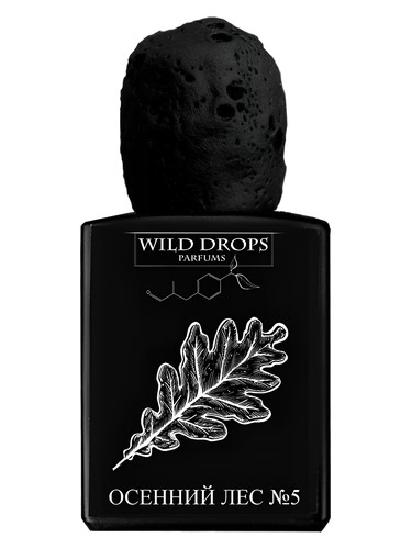 Autumn Forest 5 (Осенний Лес 5) Wild Drops Parfums аромат — аромат для ...