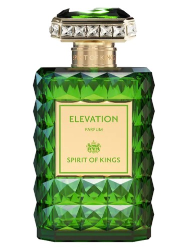 Elevation Spirit Of Kings - una novità fragranza unisex 2022