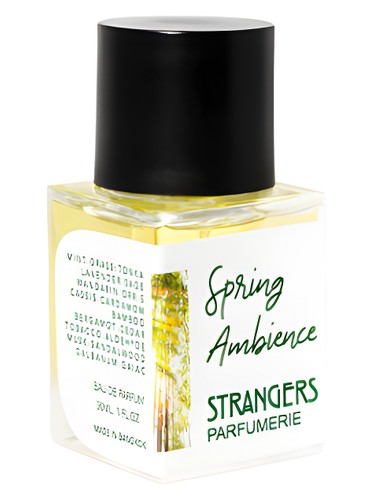 Spring Ambience Strangers Parfumerie parfem - novi parfem za žene i ...