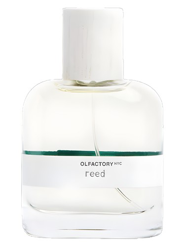 Reed Olfactory NYC Parfum - ein es Parfum für Frauen 2017