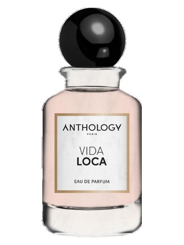 Vida Loca Anthology عطر - a جديد fragrance للنساء 2023