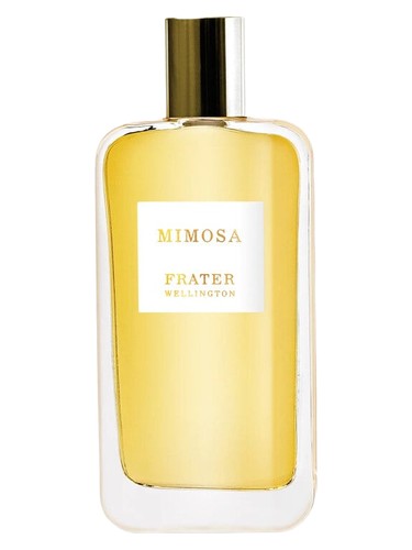 Mimosa Frater parfum - een geur voor dames 2022