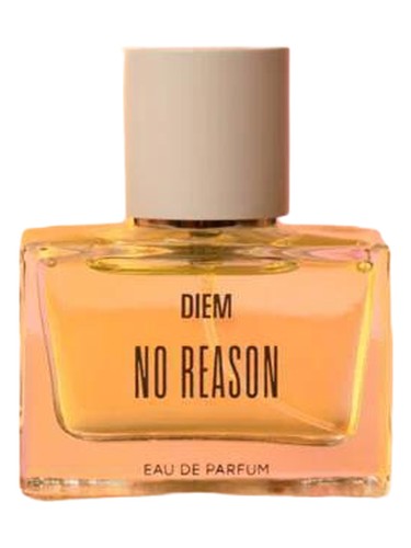 No Reason DIEM parfum - un nouveau parfum pour homme et femme 2024