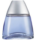 Blue Rush Intense Avon Cologne - ein es Parfum für Männer 2008