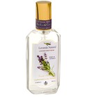 Lavendel Inhaltsstoff, Lavendel Parfums und ätherische Öle