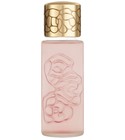 Wildfox Wildfox perfume - a fragrância Feminino 2015