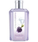 Eau de Cologne Lavande Inessance perfume - a fragrância Compartilhável 2013