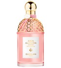 Versace Woman Versace perfume - a fragrância Feminino 2000