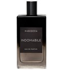 Indomable Morph - una fragranza unisex 2017
