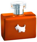 Terrier Blue Ferrioni Colonia - una fragancia para Hombres