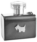 Terrier Blue Ferrioni Colonia - una fragancia para Hombres