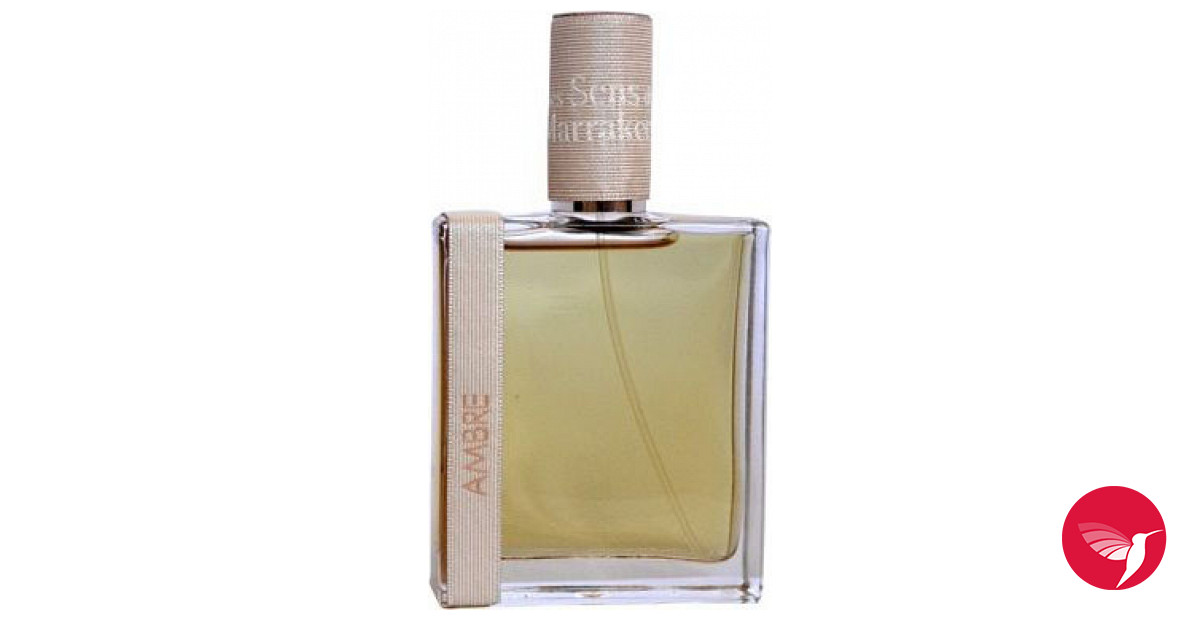 Ambre Les Sens de Marrakech parfum - un parfum pour femme