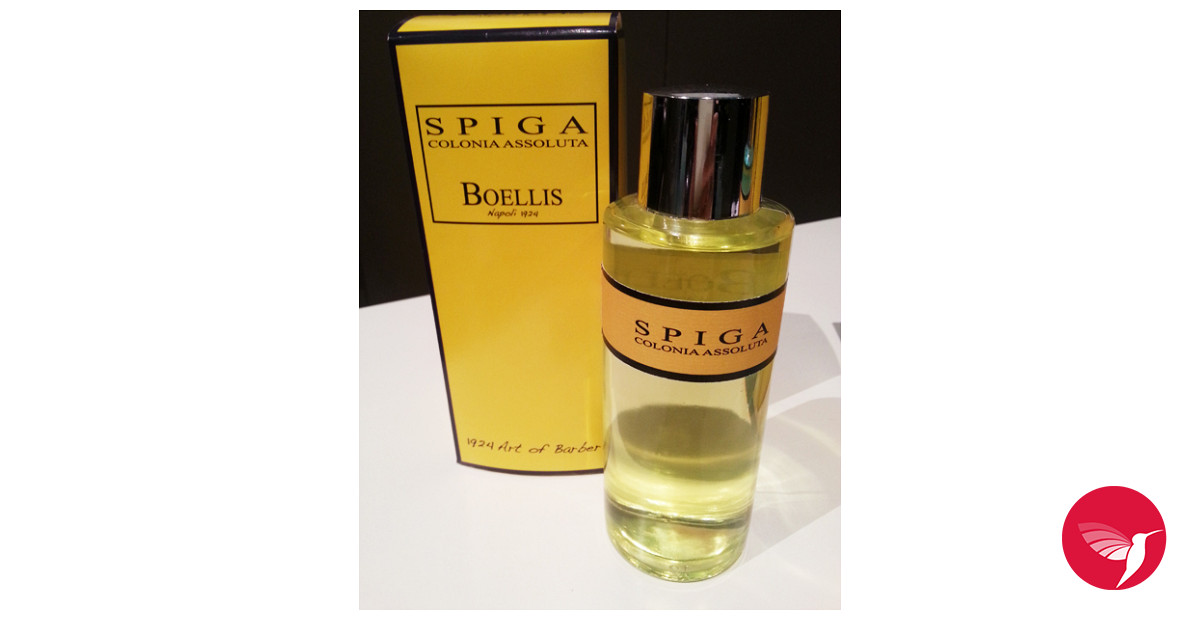 Spiga Boellis عطر - a fragrance للجنسين 2014
