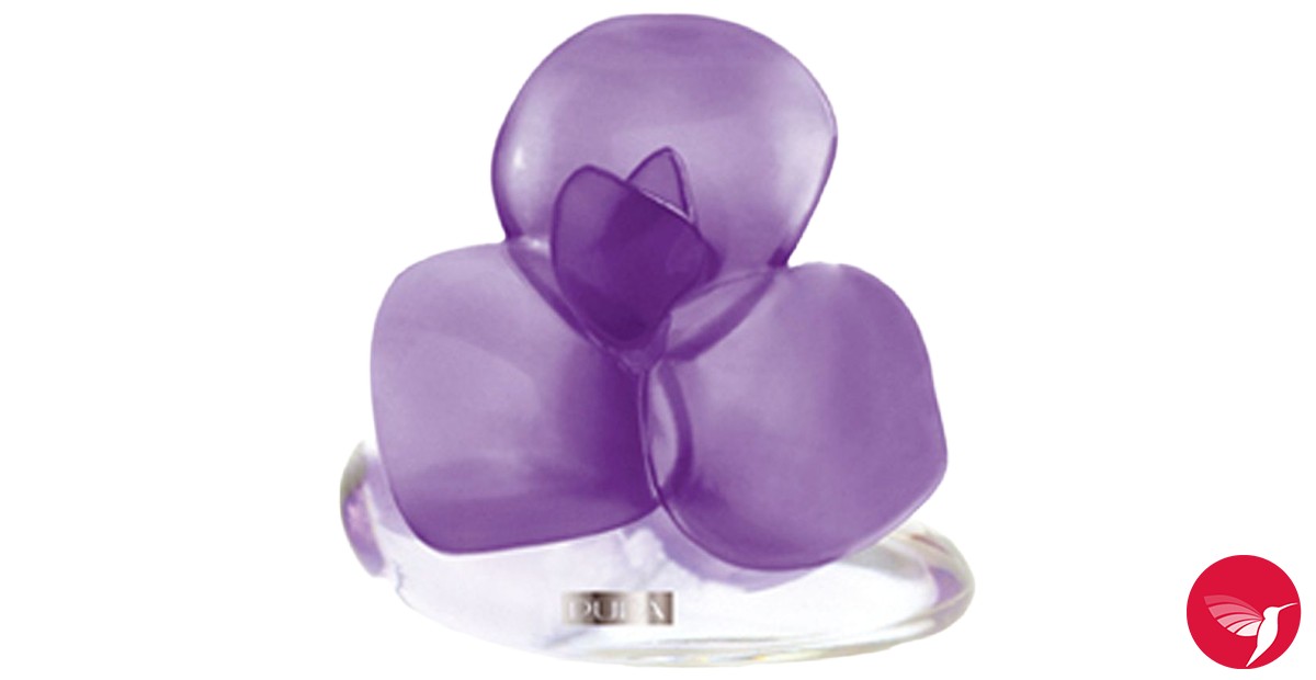 Very Flower Iris Pupa perfume - a fragrância Feminino 2008