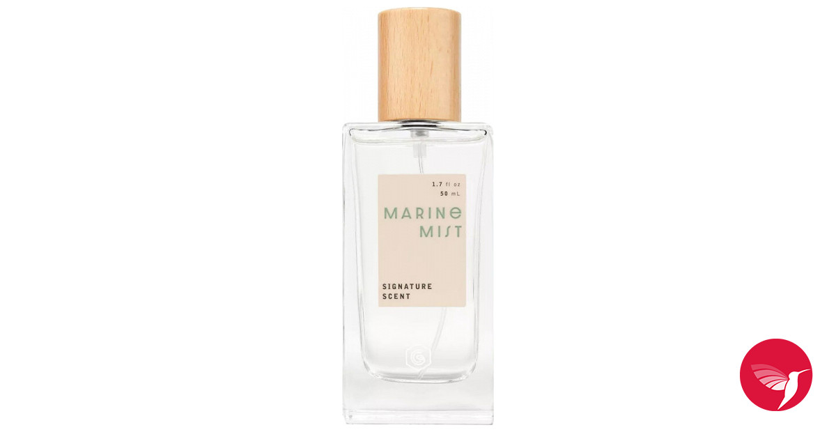 Marine Mist Good Chemistry - una fragranza unisex 2020