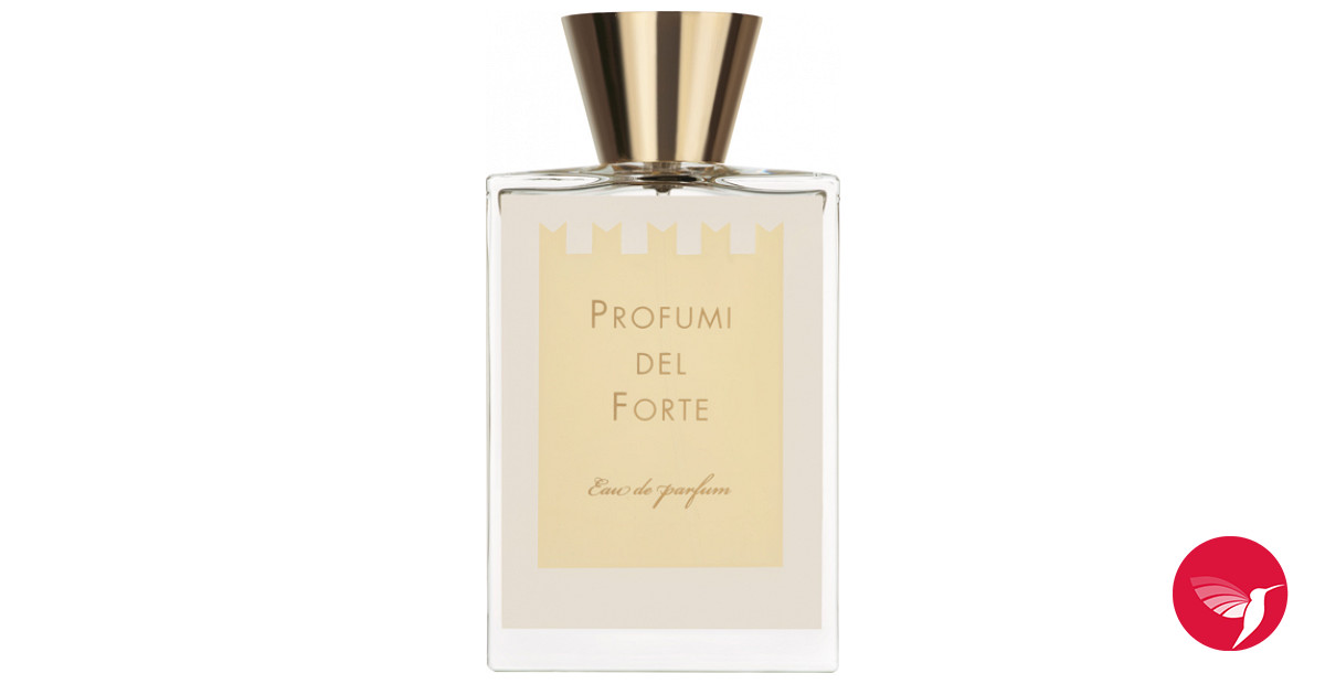 Ambra Mediterranea (Versilia Vintage Ambra Mediterranea) Profumi del ...