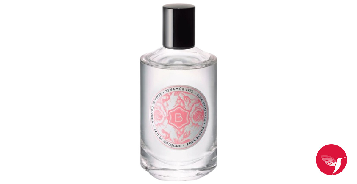 Rosa Regina Benamôr parfum - un nouveau parfum pour homme et femme 2022