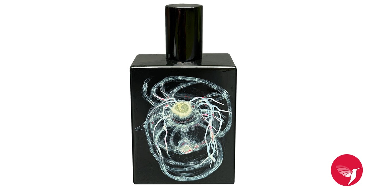 High to Lotus Space Fluid parfum - un nouveau parfum pour homme et ...