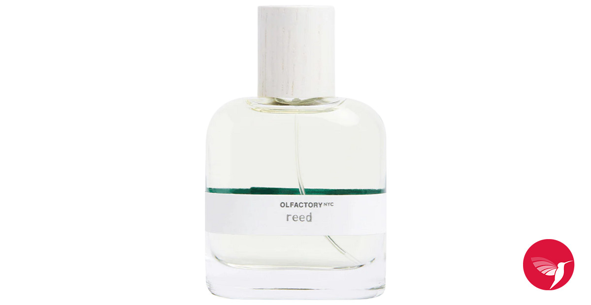 Reed Olfactory NYC parfum - een geur voor dames 2017