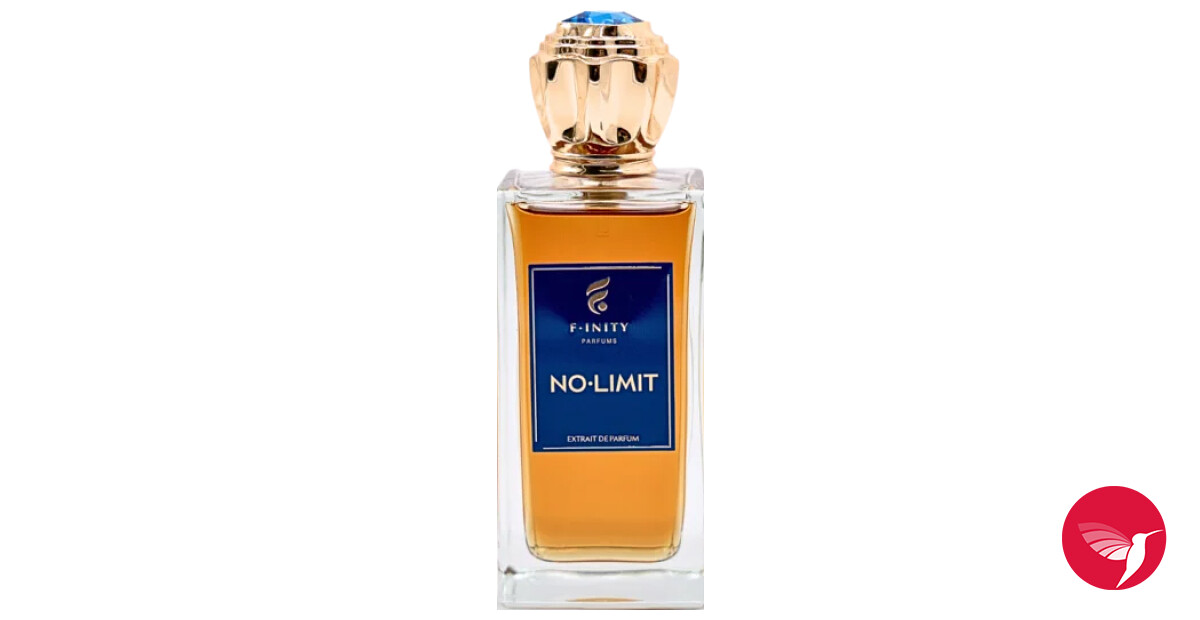 No Limit F·inity Parfum parfum - un nouveau parfum pour homme et femme 2024