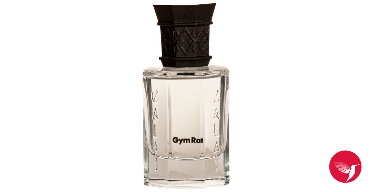 Gym Rat Calaj parfum - un nouveau parfum pour homme et femme