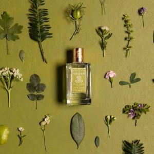 Viridarium Maria Candida Gentile perfume - a novo fragrância ...