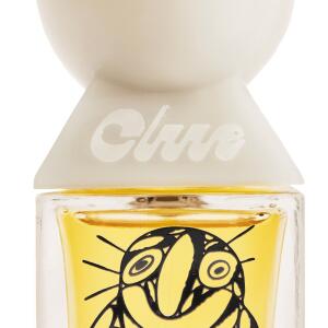 Morel Map Clue Perfumery perfume - a novo fragrância Compartilhável 2022