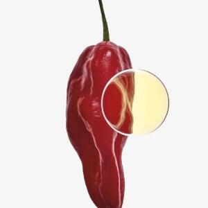 Loewe 7 Elixir Loewe Colonia - una nuevo fragancia para Hombres 2024