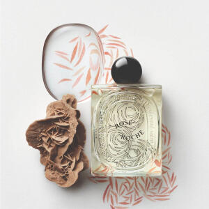 Rose Roche Diptyque аромат — новый аромат для мужчин и женщин 2024