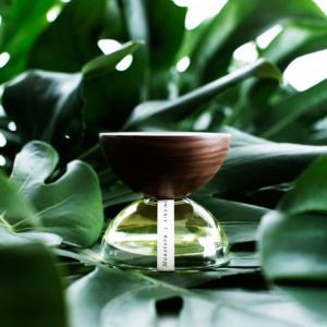 Monstera Xinú perfume - a fragrância Compartilhável 2017