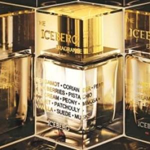 The Iceberg Fragrance Iceberg parfum - een geur voor dames 2008