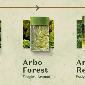 Arbo Forest O Boticário zapach - to nowe perfumy dla mężczyzn 2022