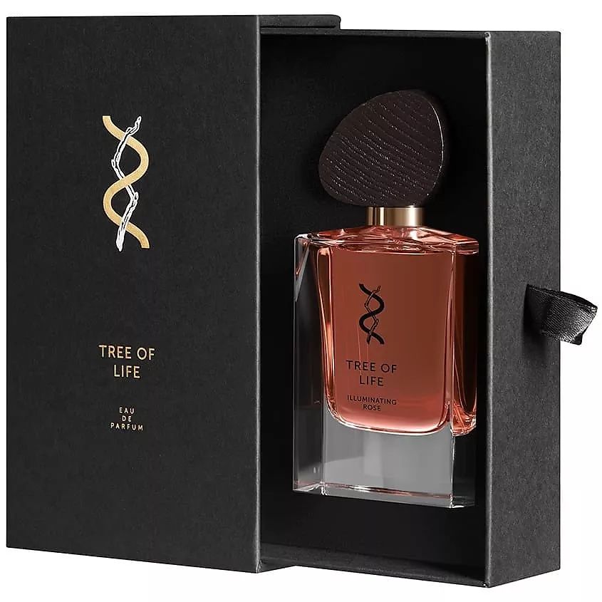 Illuminating Rose Tree Of Life fragancia - una nuevo fragancia para ...