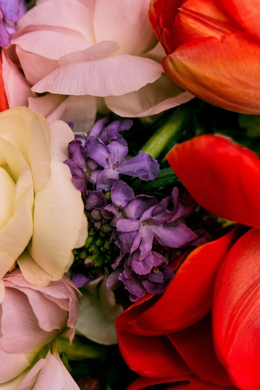 Red Temptation Summer Zara parfum - un nou parfum de dama 2023