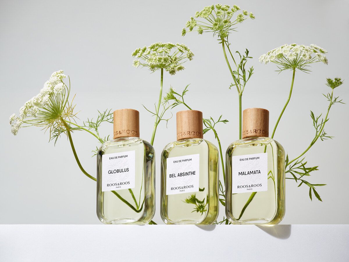 Globulus Roos & Roos parfum - un nouveau parfum pour homme et femme 2022