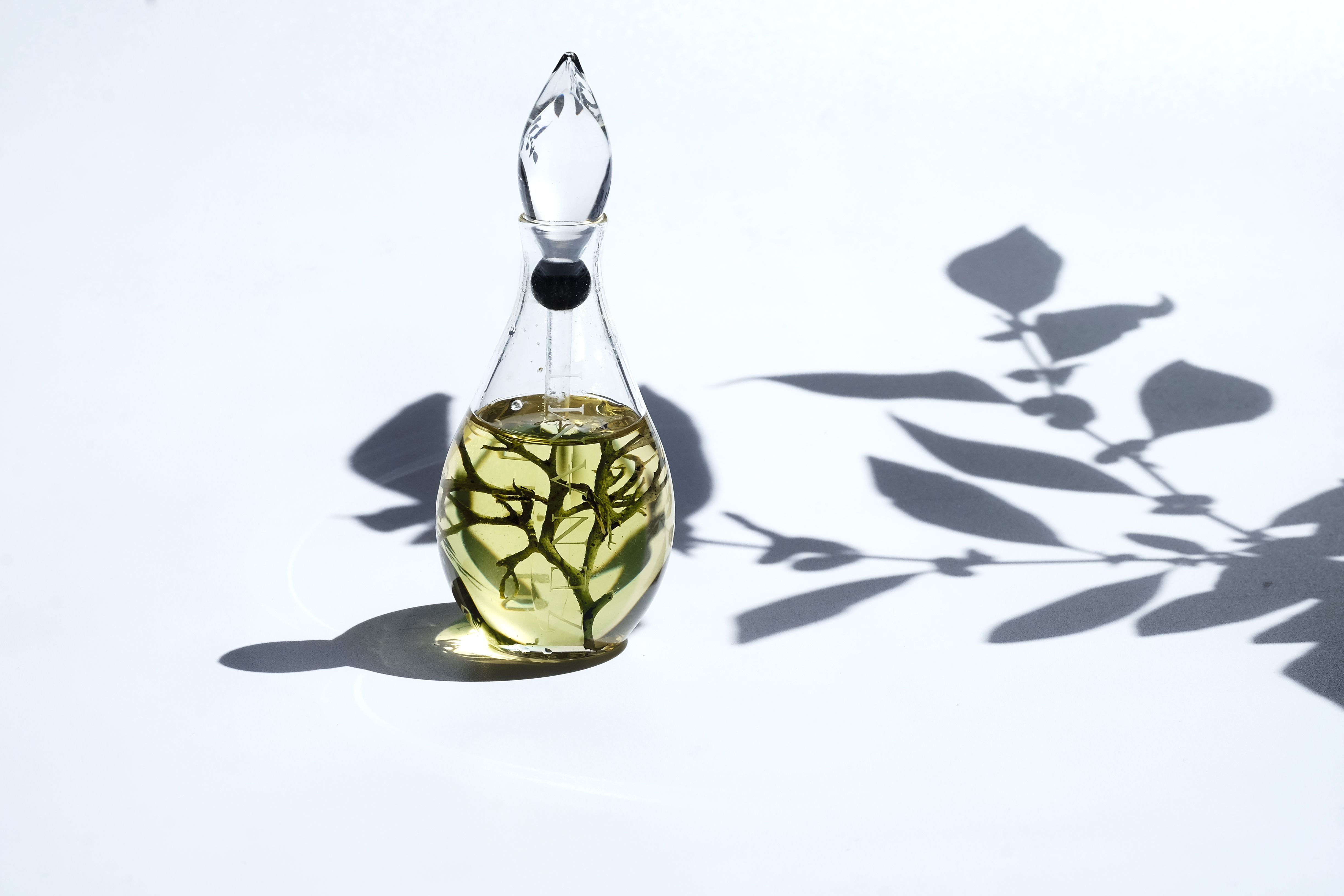 So Earthy Zenami parfum - un nouveau parfum pour homme et femme 2022