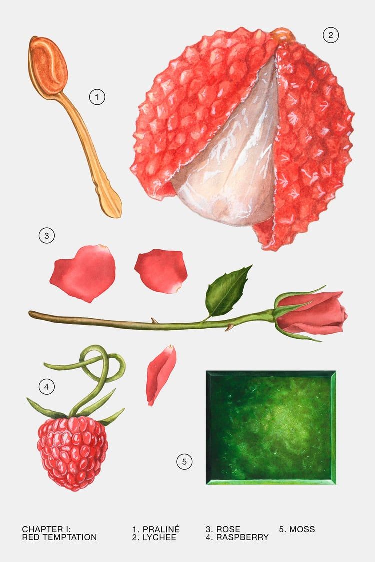 Red Temptation Summer Zara - una novità fragranza da donna 2023