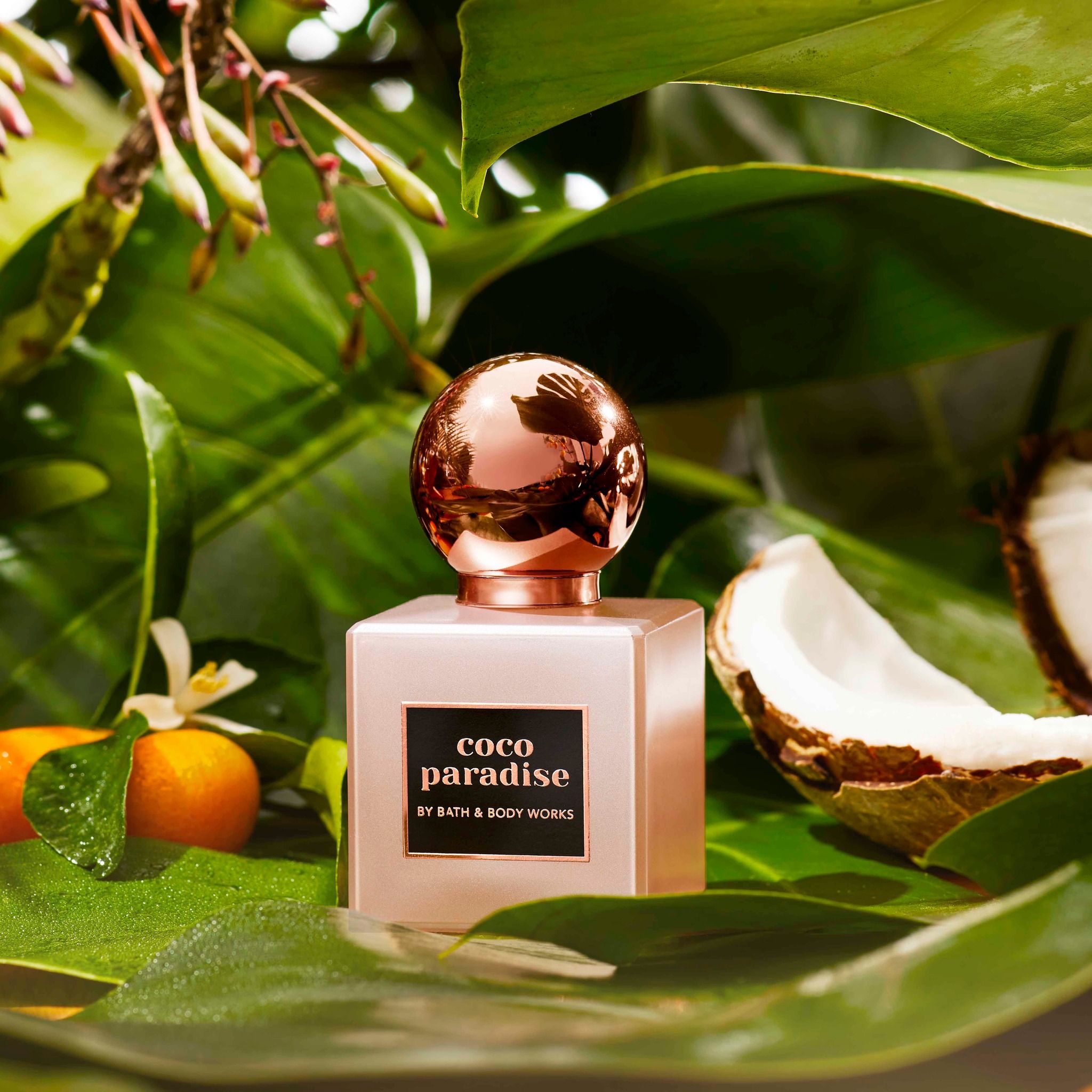 Coco Paradise Eau De Parfum Bath And Body Works 香水 一款 2023年 新的 女用 香水