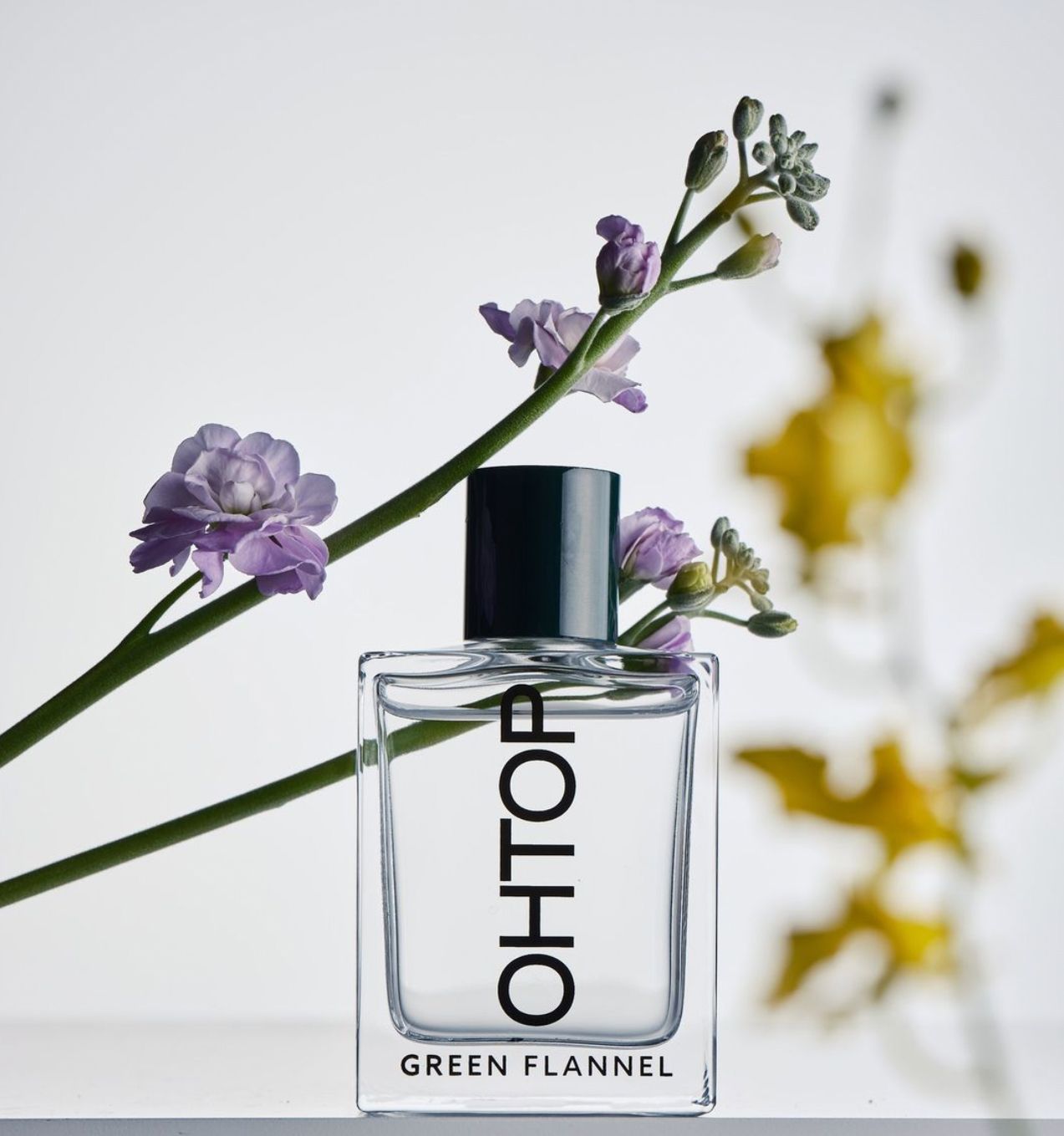Green Flannel OHTOP perfume - a novo fragrância Compartilhável 2023