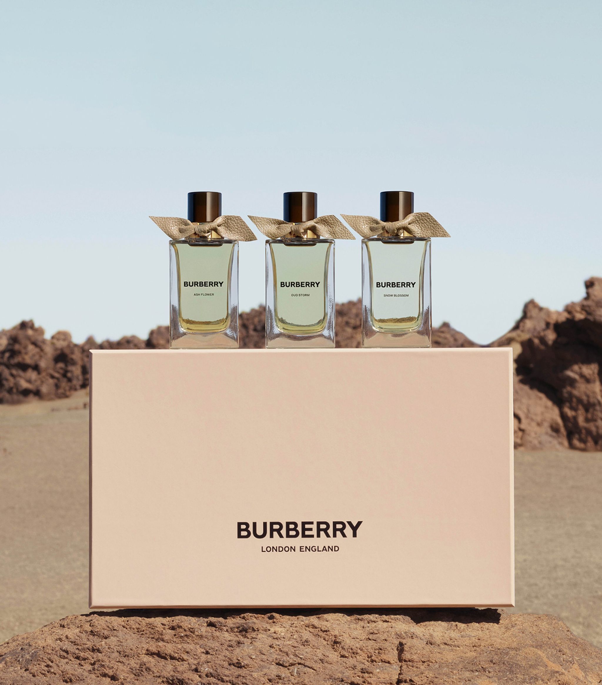 Ash Flower Burberry - una novità fragranza unisex 2023