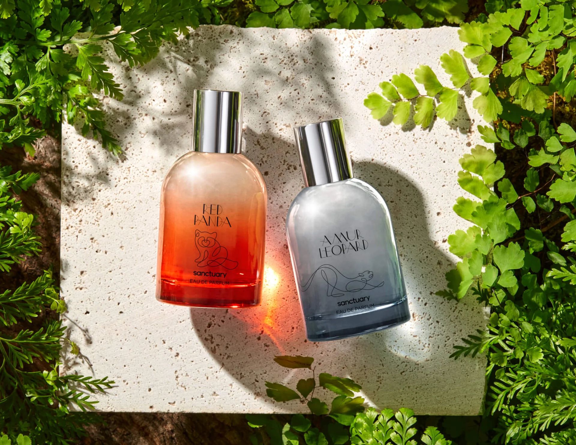 Amur Leopard Sanctuary fragancia - una fragancia para Hombres y Mujeres ...