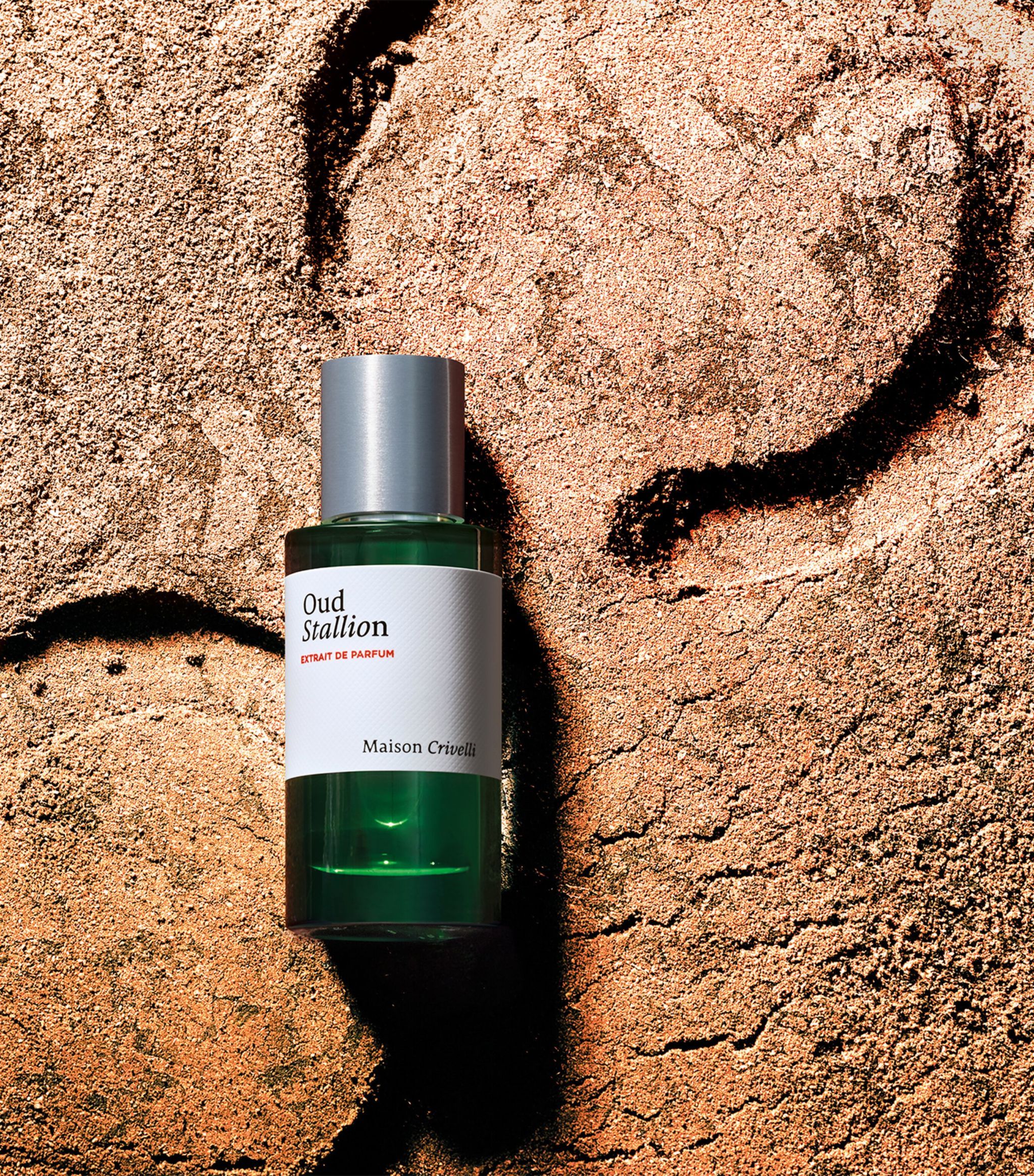 Oud Stallion Maison Crivelli аромат — новый аромат для мужчин и женщин 2023