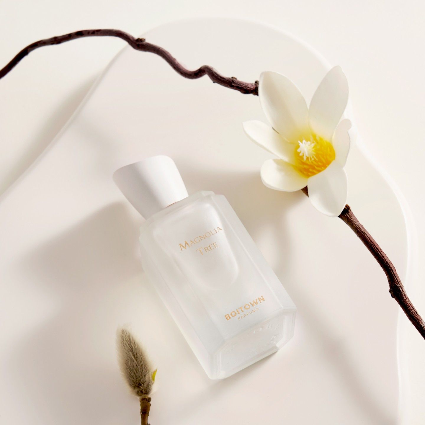 Magnolia Tree 一树玉兰 Boitown 冰希黎 fragancia - una nuevo fragancia para ...